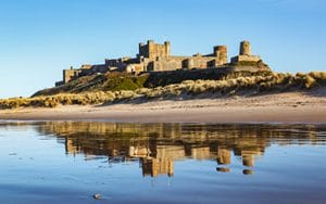 Explore Bamburgh – Bamburgh Bones